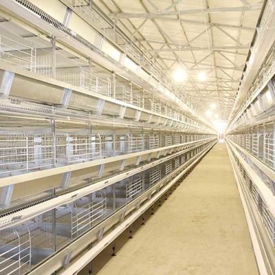 Cina La gabbia del pollo di strato del filo di acciaio Q235 progetta con sistema d'alimentazione/bevente in vendita
