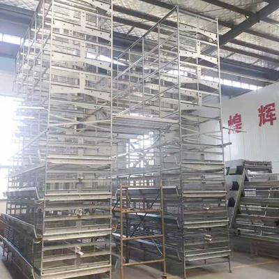 Cina 90 - Sistema della gabbia in batteria di 256 uccelli, gabbie arricchite durevoli per le galline ovaiole in vendita