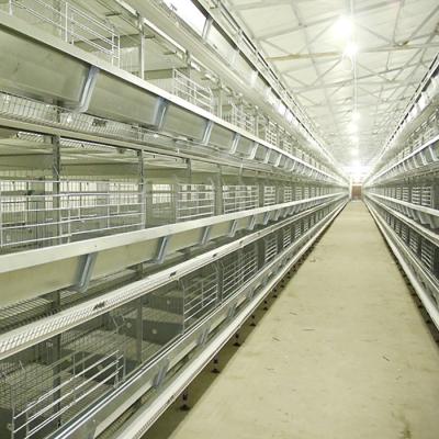 中国 強力な自動Hのタイプ層の鶏のおりシステム安定した性能 販売のため