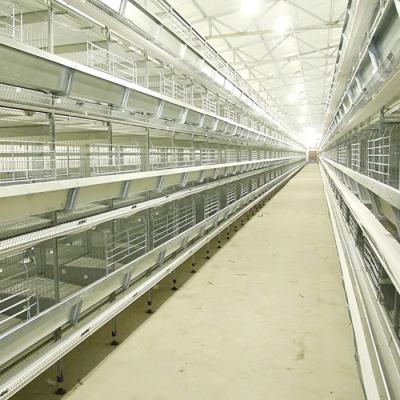 中国 強力な自動Hのタイプ層の鶏のおりシステム安定した性能 販売のため