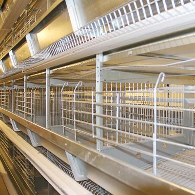 Cina Gabbia del pollo del pollame di rendimento elevato 4/5/6/8 dimensione di Tires 120 * 60 * 70 cm in vendita