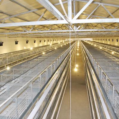 Cina Gabbia del pollo del pollame di rendimento elevato 4/5/6/8 dimensione di Tires 120 * 60 * 70 cm in vendita