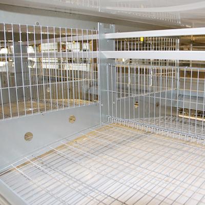 Cina Gabbia del pollo del pollame di rendimento elevato 4/5/6/8 dimensione di Tires 120 * 60 * 70 cm in vendita