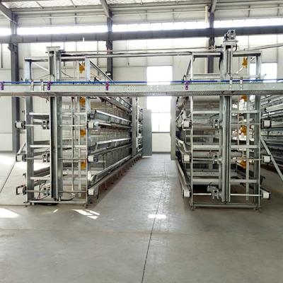 Cina 4 - controllo d'innalzamento della batteria della gabbia del pollo del pollame di 8.5m con il collettore automatico dell'uovo in vendita