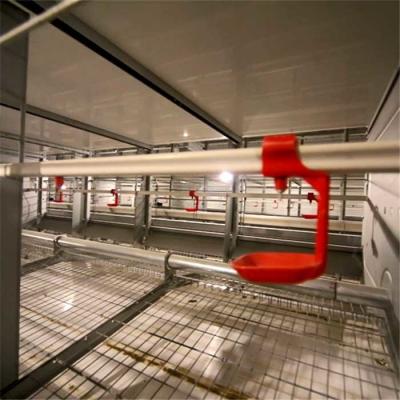 Cina L'allevamento d'acciaio del cavo della maglia Q235 ingabbia il bene durevole commerciale di uso di alta efficienza in vendita