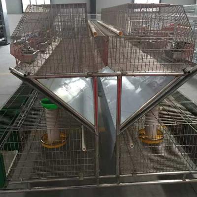 Cina 50 - 80 gabbie di allevamento del coniglio dei bambini, conigliera a due stadi rispettosa dell'ambiente in vendita