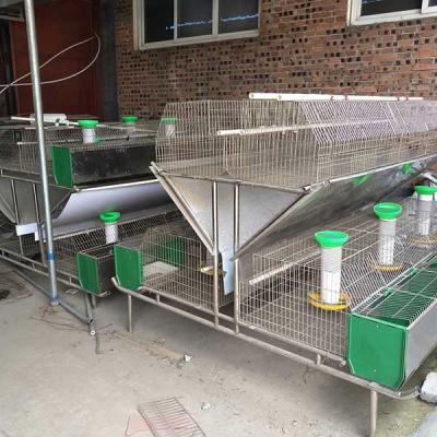 Cina Gabbie commerciali coniglio di verde/dell'argento, Camera dell'interno del coniglio di risparmio di lavoro in vendita