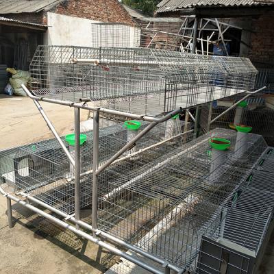 China 2 Layer Commercial Rabbit Farming Cages Automatic Drinking And Cleaning for sale