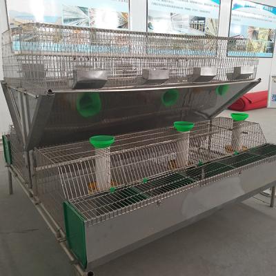 China Large Scale Farm Rabbit Cage 2400 * 2000 * 1500mm Size For Female Rabbit for sale