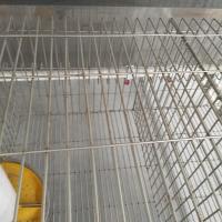 China High Performance Farm Rabbit Cage Anti Corrosion Galvanized Surface Easy Drinking for sale