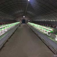 China High Performance Farm Rabbit Cage Anti Corrosion Galvanized Surface Easy Drinking for sale