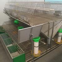 China High Performance Farm Rabbit Cage Anti Corrosion Galvanized Surface Easy Drinking for sale