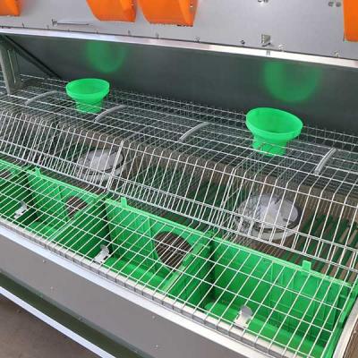 China Comfortable Smart Farm Rabbit Cage Q235 Steel Wire / Plastic Material for sale