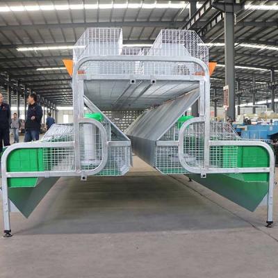 China Indoor Female Rabbit Cage , Automatic Control Rabbit Hutch For 2 Rabbits for sale