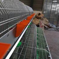 China Large Auto Cleaning Farm Rabbit Cage Stable Performance Easy Maintenance for sale