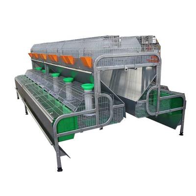 China 12 Mums Commercial Farm Rabbit Cage High Rearing Efficiency Smart Drinking / Feeding for sale