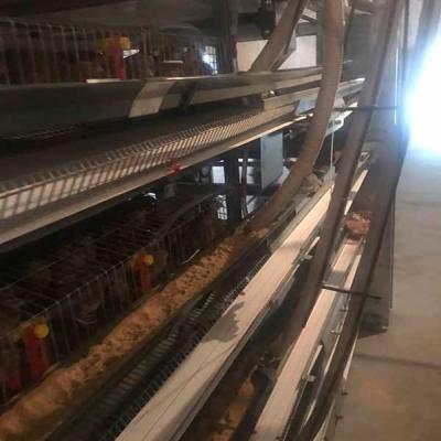 China 10 - 24 Cells Quail Cages 5 / Tiers Large Capacity No Corners / Sharp Edges for sale