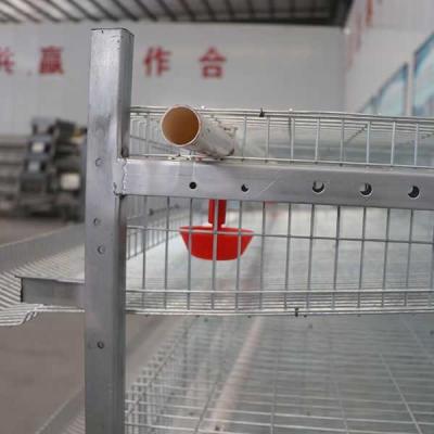 China U Shape Steel Frame Quail Cage Corrosion Resistance Surface High Performance for sale