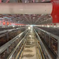 China 190*35*38cm Layer Chicken Cage for sale