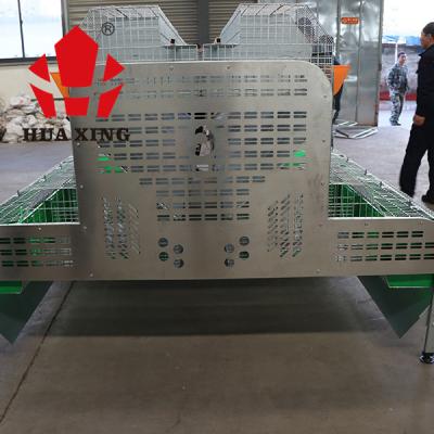 Cina Produttore industriale della gabbia dell'azienda agricola del coniglio della carne della larga scala di tipo europea/gabbia commerciale di allevamento del coniglio in vendita
