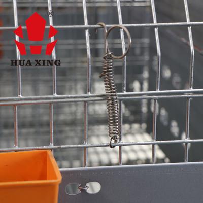Cina Gabbie crescere galvanizzate calde dell'azienda agricola femminile del coniglio della gabbia per polli del metallo animale della gabbia nel Kenia in vendita