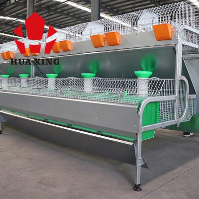 Cina Gabbia commerciale galvanizzata immersa calda del coniglio della batteria delle attrezzature della gabbia dell'azienda agricola del coniglio della gabbia per polli di batteria del coniglio della carne in vendita