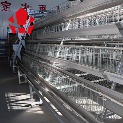 Cina Bene durevole un tipo approvazione di controllo automatico IS9001 del sistema della gabbia del pollo di strato in vendita