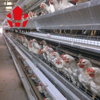 Cina Gabbia situantesi galvanizzata calda di Hen Farming Equipments Layer Chicken degli uccelli dei produttori 90 - 160 della gabbia in vendita