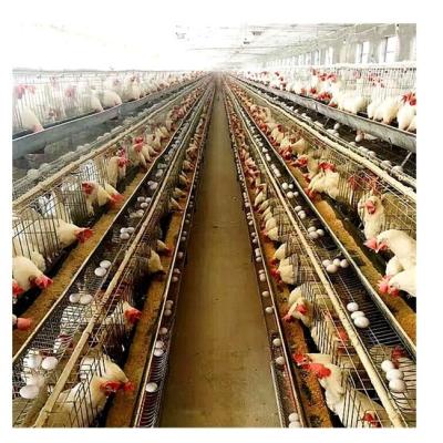 Cina Il tipo galvanizzato caldo strato di Q235 A ingabbia 20 anni di sistema bevente automatico in vendita
