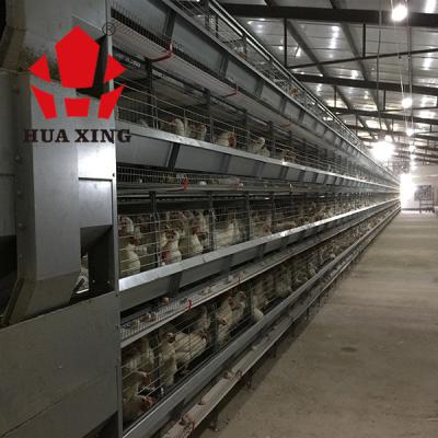 China Gaiola da galinha da camada da bateria com equipamento de cultivo das aves domésticas para os rebanhos animais animais da agricultura das aves domésticas à venda