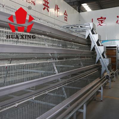Cina Un tipo la immersione calda di progettazione Q235 della gabbia in batteria del pollame di strato ha galvanizzato il filo di acciaio in vendita