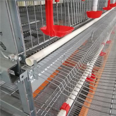 Cina Gabbia moderna della quaglia dell'azienda agricola della larga scala delle attrezzature di agricoltura di risparmio di lavoro in vendita