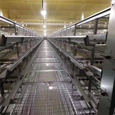 Cina Un tipo 198 uccelli mette a strati l'attrezzatura di avicoltura della gabbia del pollo in vendita