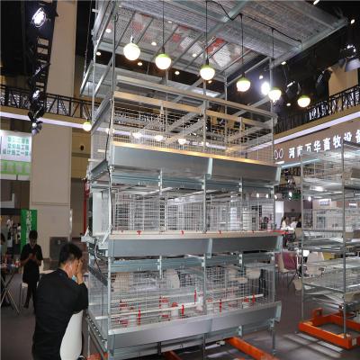 Cina Q235 bambino di 1 settimana galvanizzato d'acciaio Chick Cage 20 anni di anti ruggine in vendita