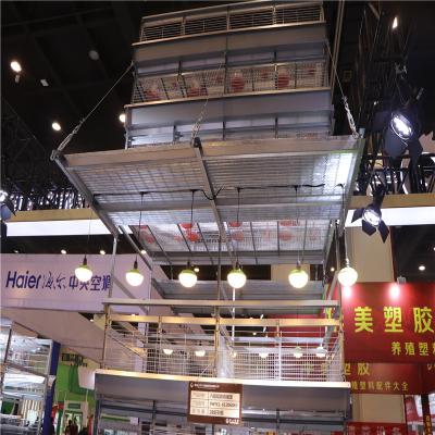 Cina La immersione di Chick Poultry Farm Cage Hot del bambino di 192 uccelli ha galvanizzato l'acciaio in vendita