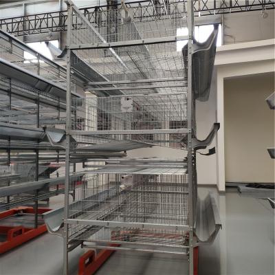 Cina Wrie galvanizzato che pone Hen Cages 160 uccelli/raccolta delle uova stabilita in vendita