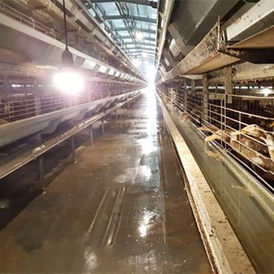 Cina Tipo uovo galvanizzato caldo Duck Poultry House Cages Egg Duck Cage di H di strato di 3/4tiers in vendita