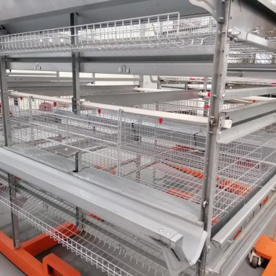 Cina Gabbia automatica durevole di Duck Cage Factory Commercial Duck per le uova in vendita
