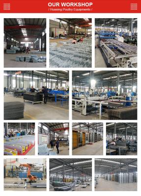 China Um tipo gaiola da camada da galinha da galinha da camada do sistema da gaiola de bateria para a venda à venda