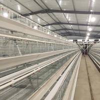 China A Type Battery Cage System Layer Chicken Chicken Layer Cage For Sale for sale