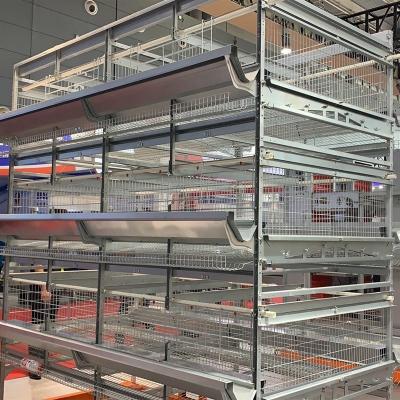 Cina Tipo completamente automatico gabbia della batteria H del pollo di strato per la stenditura delle aziende agricole di pollo in vendita