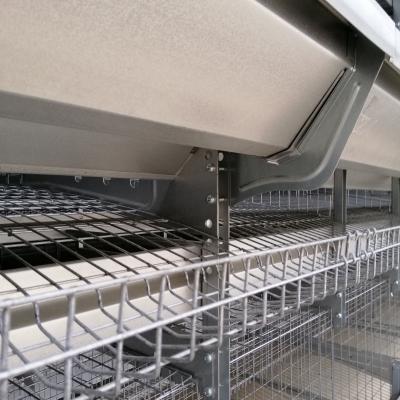 Cina Tipo completamente automatico gabbia della batteria H del pollo di strato per la stenditura delle aziende agricole di pollo in vendita