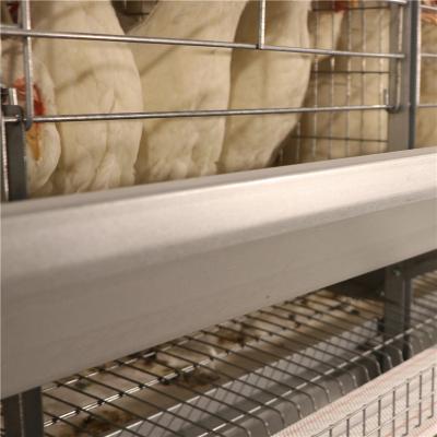 Cina Il pollo di strato della batteria dell'uovo dello SGS ingabbia la resistenza di corrosione dell'azienda avicola in vendita
