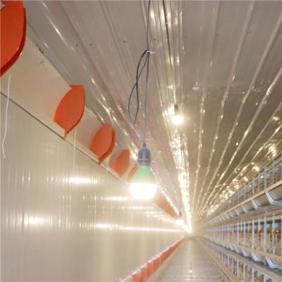 Cina Il pollo di strato della batteria dell'uovo dello SGS ingabbia la resistenza di corrosione dell'azienda avicola in vendita