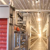 China Free Layout Design Egg Layer Cage H Type Galvanized for sale