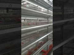 Prodotti a base di tenore di zolfo superiore a 10 GHT