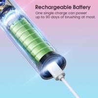 China Teeth Whitening Rechargeable Electric Toothbrush for sale