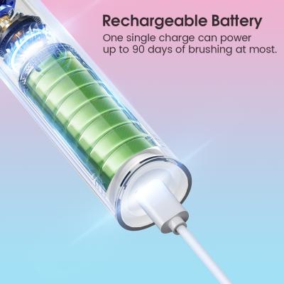 China Couple Electric Sonic Toothbrush for Adults Children Portable Waterproof Soft Bristle Factory Wholesale Household Toothbrush for sale