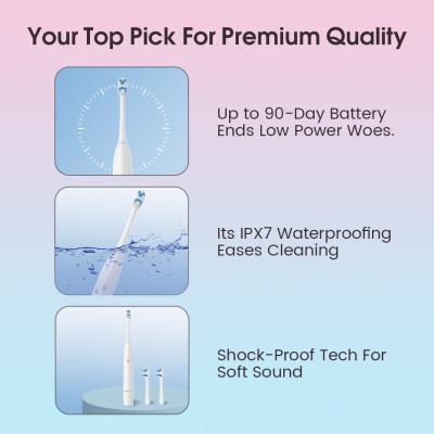 China Hot Selling OEM Electric Toothbrush Recharge Type-C IPX7 Tooth Polish Cleaning LED Electric Toothbrush for sale
