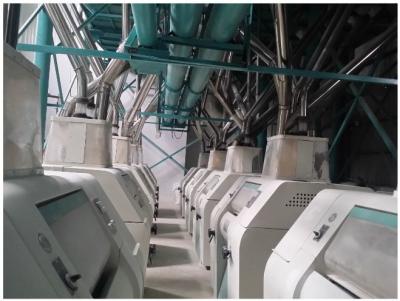 China 10-500ton per day Wheat Flour Milling Machine with Price for sale